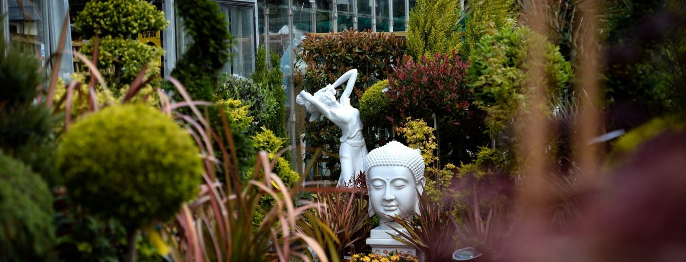 Windlestone Nursery & Garden Centre in Ferryhill, Durham