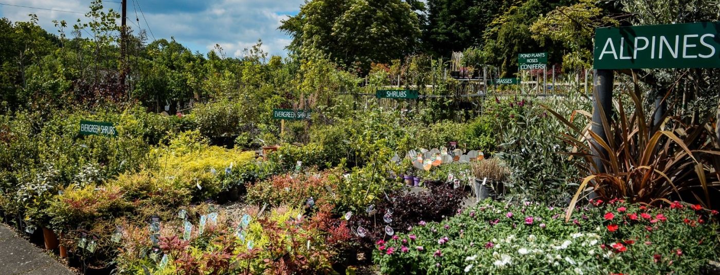 Windlestone Nursery & Garden Centre in Ferryhill, Durham