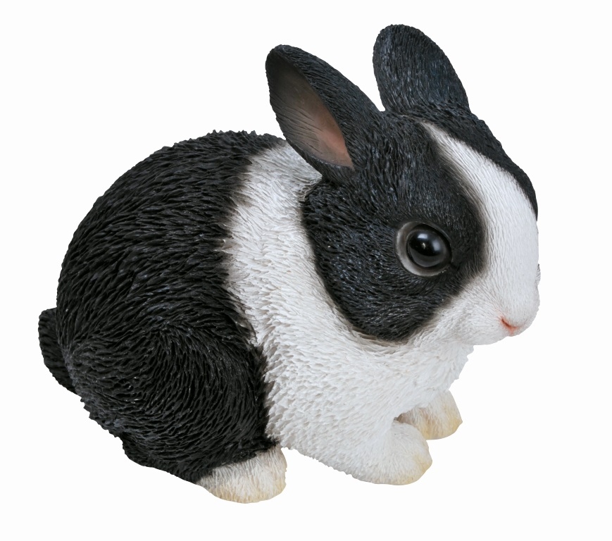 Baby Dutch Rabbit - Windlestone Nursery & Garden Centre in Ferryhill ...