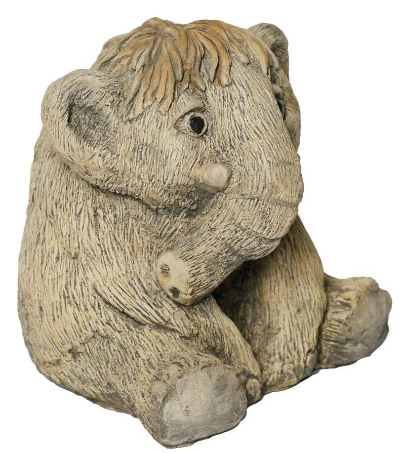 Baby Mammoth Trunk Down - Windlestone Nursery & Garden Centre in ...