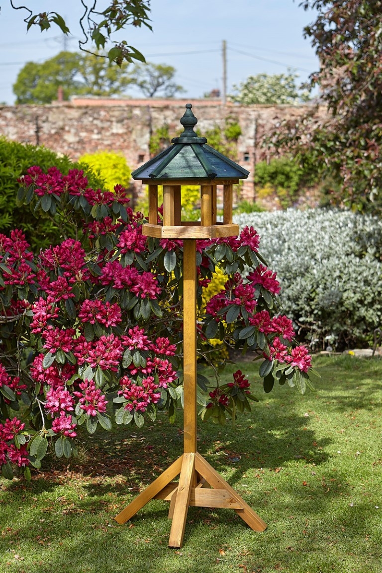 Bird Oasis Bird Table - Forest Green - Windlestone Nursery & Garden ...