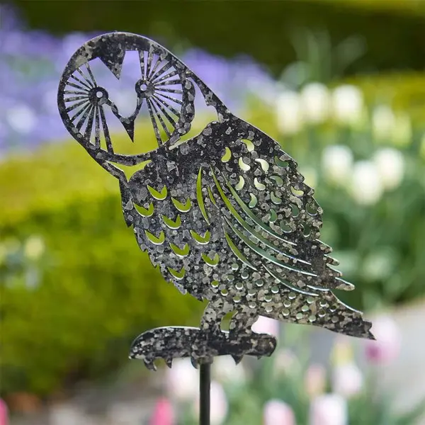 Hoots Plant Stake - Windlestone Nursery & Garden Centre in Ferryhill ...