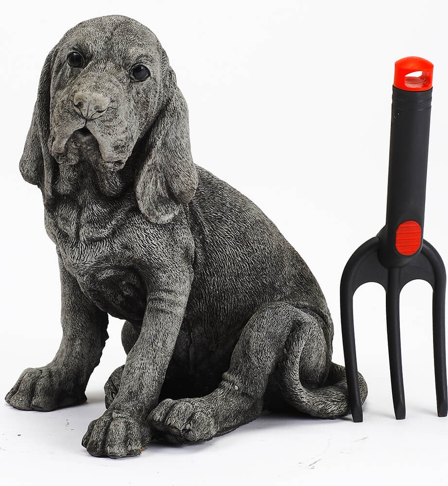 Large Bloodhound - Windlestone Nursery & Garden Centre in Ferryhill, Durham