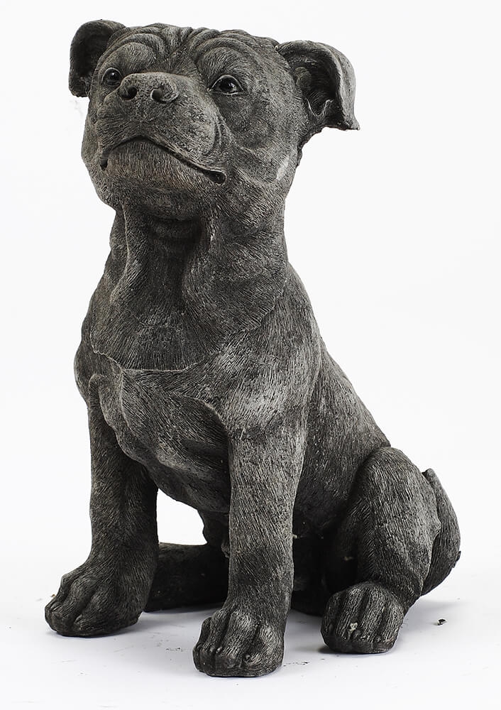 Large Staffie - Windlestone Nursery & Garden Centre in Ferryhill, Durham