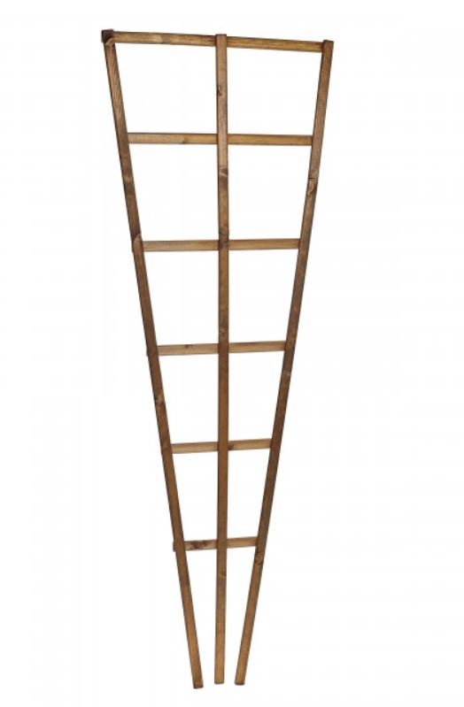 Prestige Wooden Fan Trellis - 180cm x 60cm - Windlestone Nursery ...