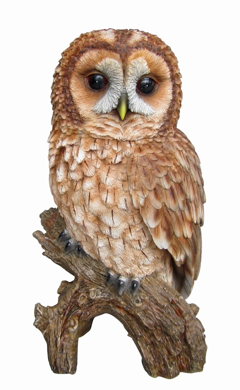 Real Life Tawny Owl - Windlestone Nursery & Garden Centre in Ferryhill ...