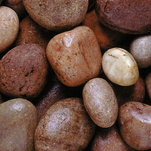 Scottish Cobbles 50-75mm - Windlestone Nursery & Garden Centre in ...