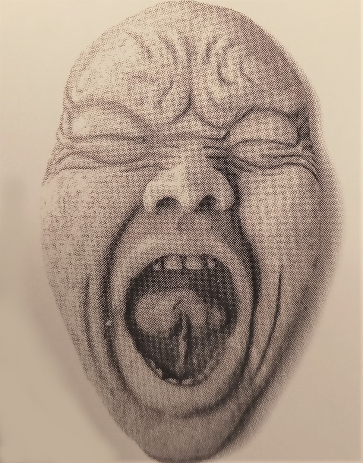 Scream Face - Windlestone Nursery & Garden Centre in Ferryhill, Durham